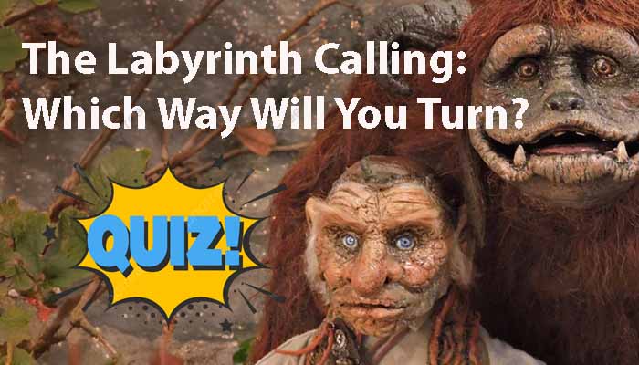 [QUIZ] The Labyrinth Calling: Which Way Will You Turn?